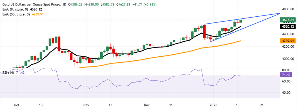 Gold rises above $4,600 as Fed rate cut bets, safe-haven demand grow