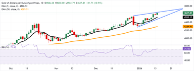 Gold rises above $4,600 as Fed rate cut bets, safe-haven demand grow